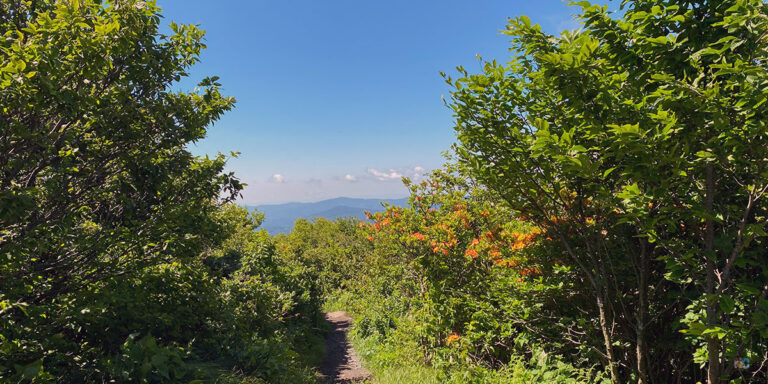 13 Best Spring Break Destinations in North Carolina!