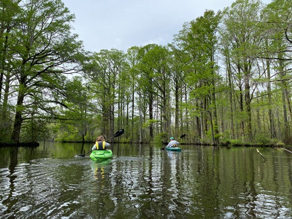 20+ Great Things to Do in Edenton NC (History + Food)