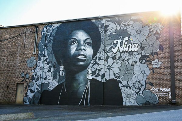 Pearson's Falls NC: How to See this Lovely 90-Foot Waterfall