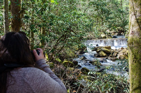 Pearson's Falls NC: How to See this Lovely 90-Foot Waterfall