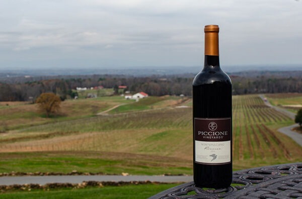 23 of the Best Yadkin Valley Wineries to Sip and Savor Now
