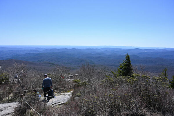 Rough Ridge Trail (One of the Best Blue Ridge Parkway Hikes)