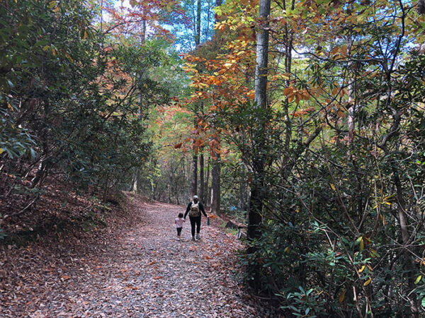 Hiking the Hanging Rock Trail (One of the Best Hikes in NC)