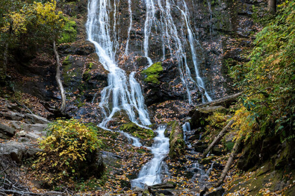 Mingo Falls in Cherokee NC (How to See This Great Waterfall)