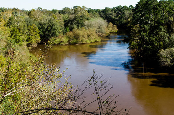 40+ North Carolina State Parks Sites (+ How to Enjoy Them!)