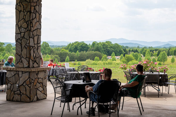 Surry County NC (16 Best Things to Do, Wineries, and More!)