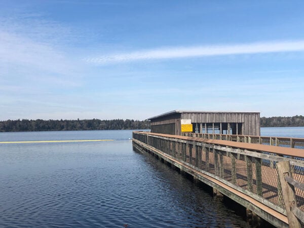 25+ Great Lakes in North Carolina (+ Our Best 5)