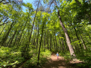41 North Carolina State Parks Sites (+ How to Enjoy Them!)