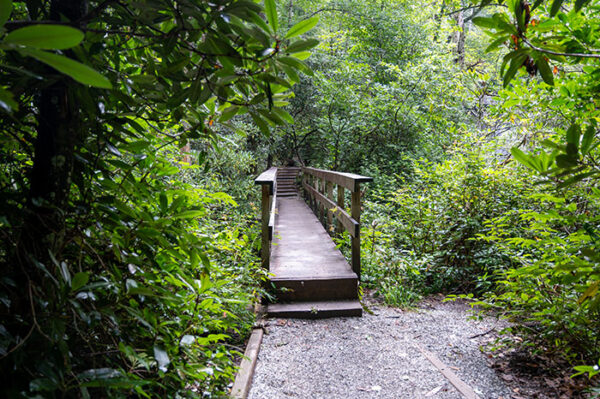 Silver Run Falls (How to See this Gorgeous NC Waterfall!)