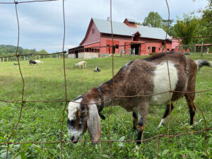 Henderson County NC: 80+ Important Facts, History, and More!