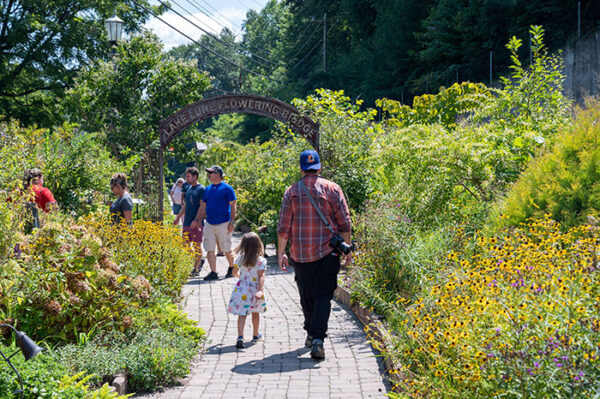 25+ Fun Things to Do in Tryon NC and Nearby!