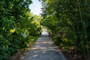 Asheville's Stunning North Carolina Arboretum (How to Visit)