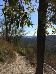Colorful Fall Hikes in North Carolina (20+ Places to Expore)
