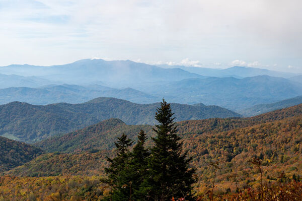 Hiking Roan Mountain from Carvers Gap NC: Beautiful AT Views
