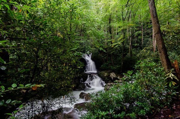 35 Gorgeous Waterfalls near Cherokee NC (Within 2 Hours)