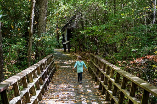 Driving the Forest Heritage Scenic Byway NC + 15 Great Stops