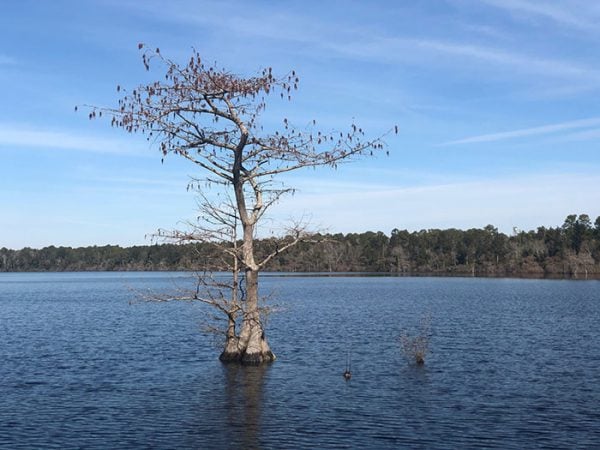 Eastern North Carolina (and 100+ Awesome Places to Visit)