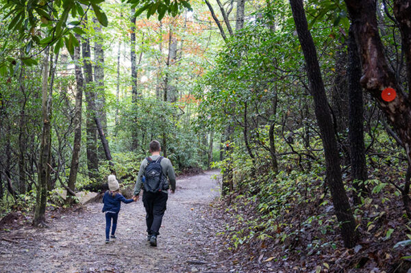 How to See Epic Rainbow Falls + Turtleback Falls in 1 Hike