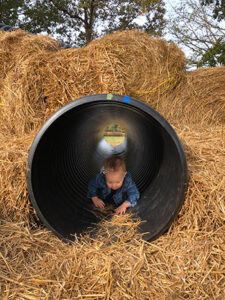 20 Best Pumpkin Patches in North Carolina to Visit this Fall