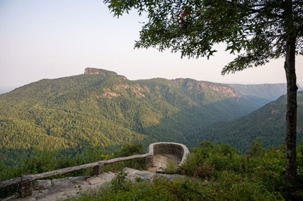 4 National Forests in NC (Things to Do + Why We Love Them!)
