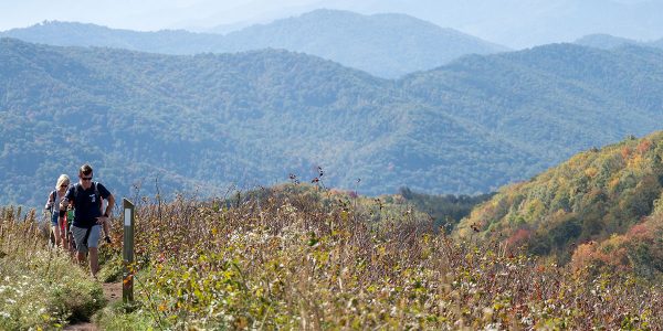 20+ Wonderful Things to Do in Black Mountain NC for Everyone