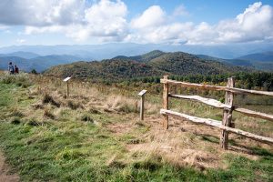 Max Patch Trail NC (A Short Hike to Beautiful 360 Views!)
