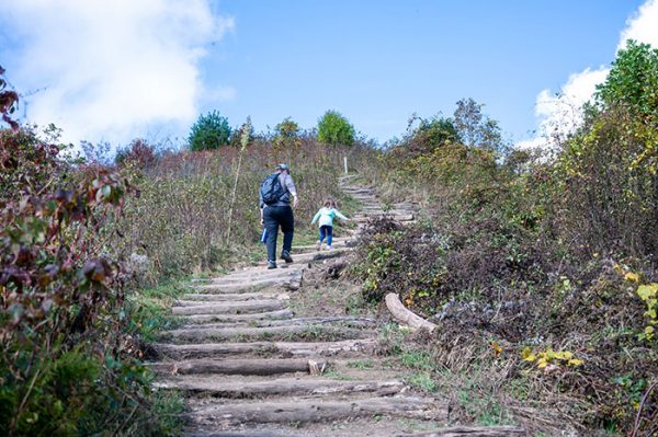 Max Patch Trail NC (A Short Hike to Beautiful 360 Views!)