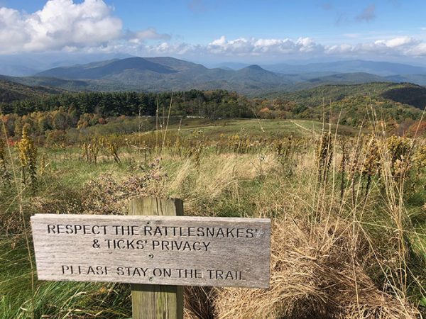 Max Patch Trail NC (A Short Hike to Beautiful 360 Views!)