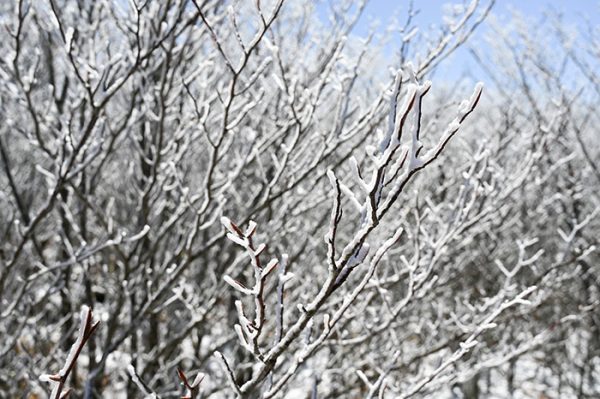 Winter in Boone NC (20 Great Activities, Snow Tubing + More)