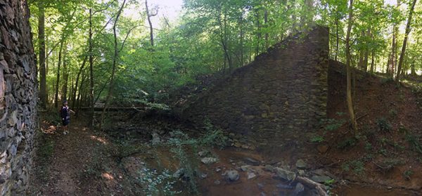 17 Amazing Eno River State Park Trails (+ Bonus Hikes)