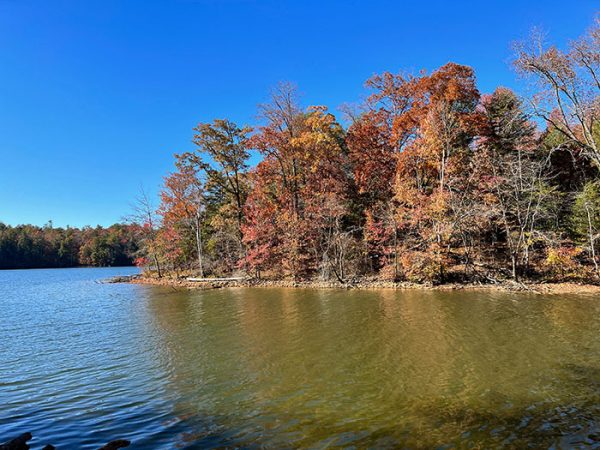 40+ North Carolina State Parks Sites (+ How to Enjoy Them!)
