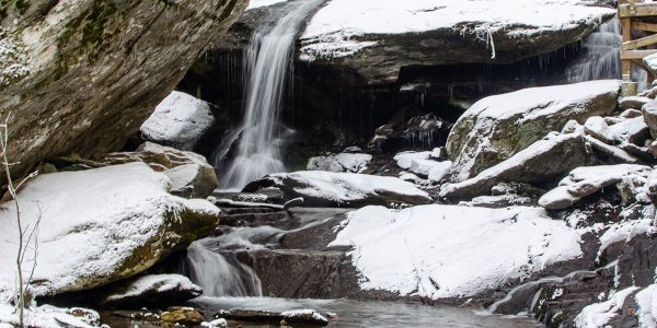 Spring in North Carolina (80+ Great Things to Do and Events)