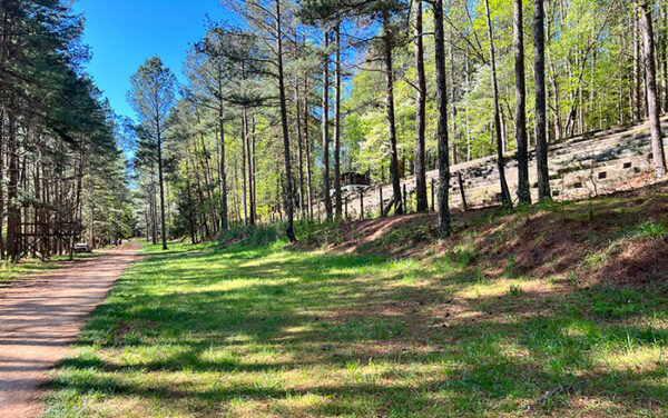 How to Visit the Historic Occoneechee Speedway Trail NC