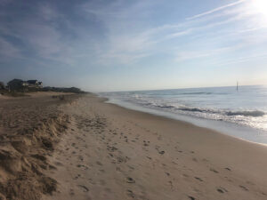 Spring in North Carolina (80+ Great Things to Do and Events)