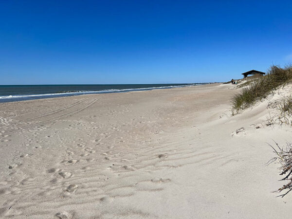Fort Macon State Park: Interesting Facts and 7+ Things to Do