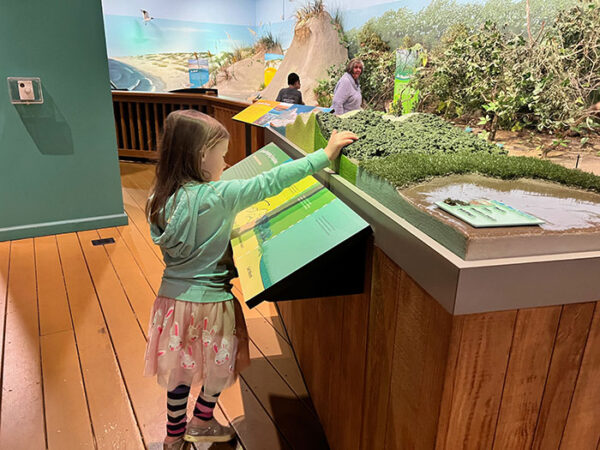 Fort Macon State Park: Interesting Facts and 7+ Things to Do