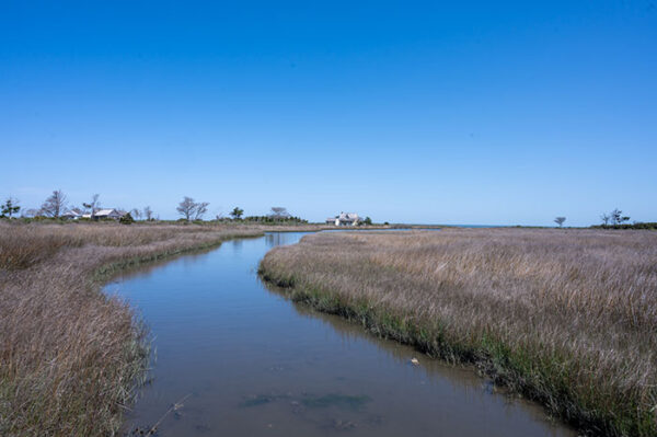 Portsmouth Island on the NC Coast (How to See It!)