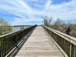 20 Great Things to Do in Duck NC (Best Vacation Activities!)