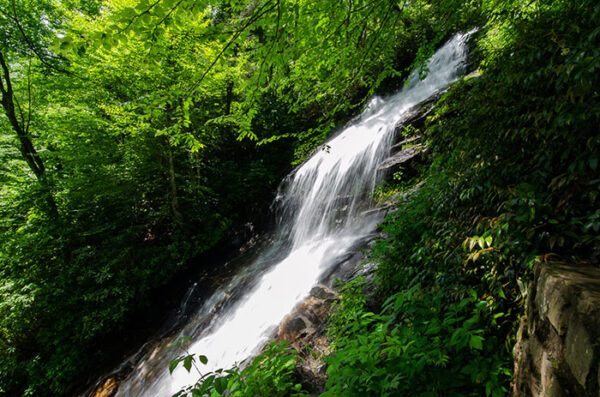 Wilkes County NC Attractions (30+ Great Places to Visit!)