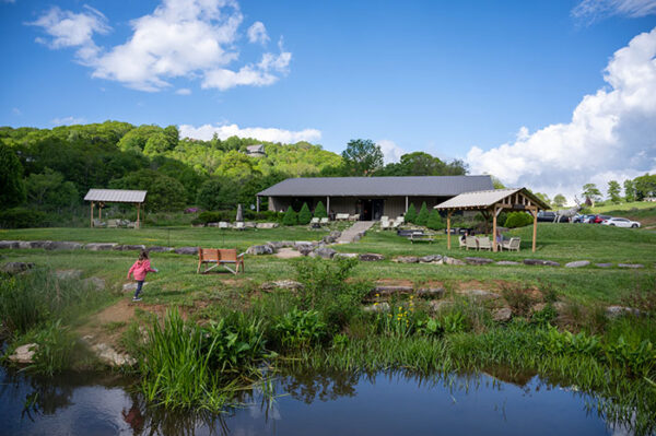 25 Great Wineries Near Asheville NC (The Best Vineyards)