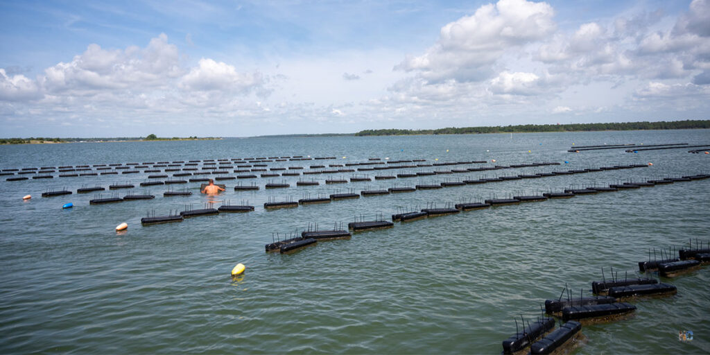 20 Fascinating North Carolina Distilleries to Tour in Person