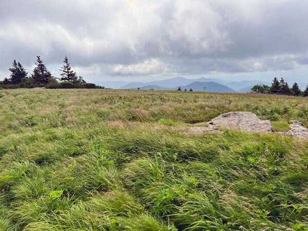 Hiking Roan Mountain from Carvers Gap NC: Beautiful AT Views