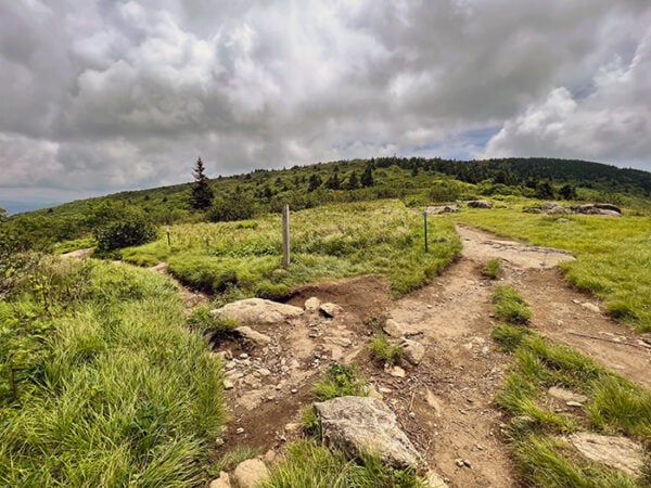 Hiking Roan Mountain from Carvers Gap NC: Beautiful AT Views