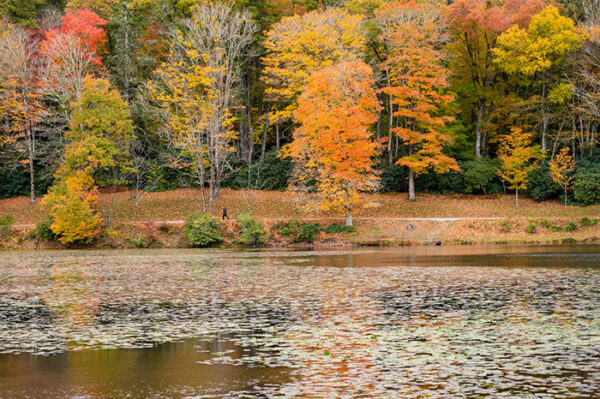 Moses Cone Memorial Park (History + The Best Things to Do)