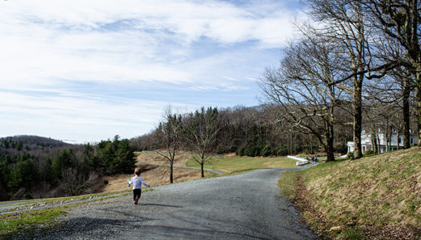 Moses Cone Memorial Park (History + The Best Things to Do)