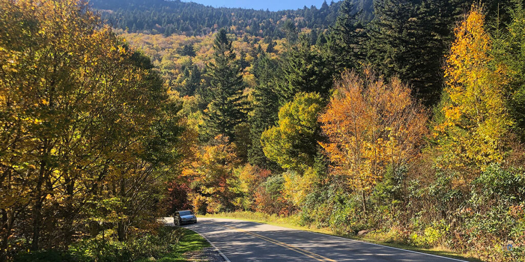 6 Amazing North Carolina Wine Trails for Your Next Getaway!