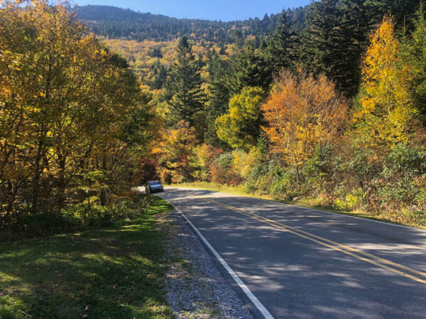 25+ Best North Carolina Road Trips: Scenic Byways + Highways