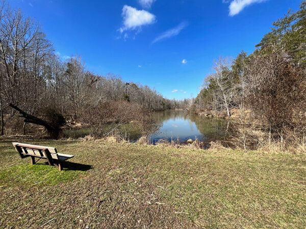 40+ North Carolina State Parks Sites (+ How to Enjoy Them!)