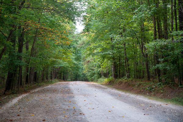 Umstead State Park in Raleigh NC Guide (Best Things to Do)