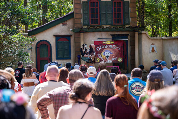 Carolina Renaissance Festival (7 Important Fair Tips!)